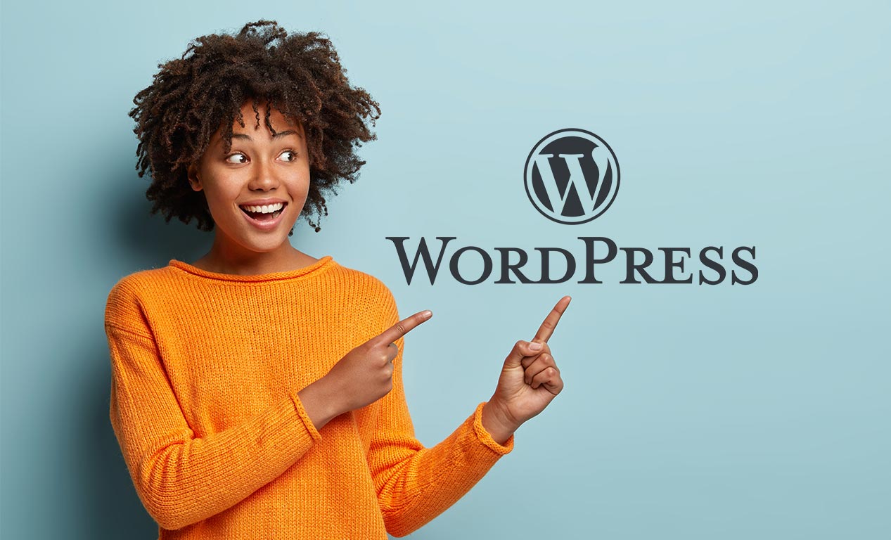 Choisir et comprendre son thème WordPress en 2023 - Follow Us